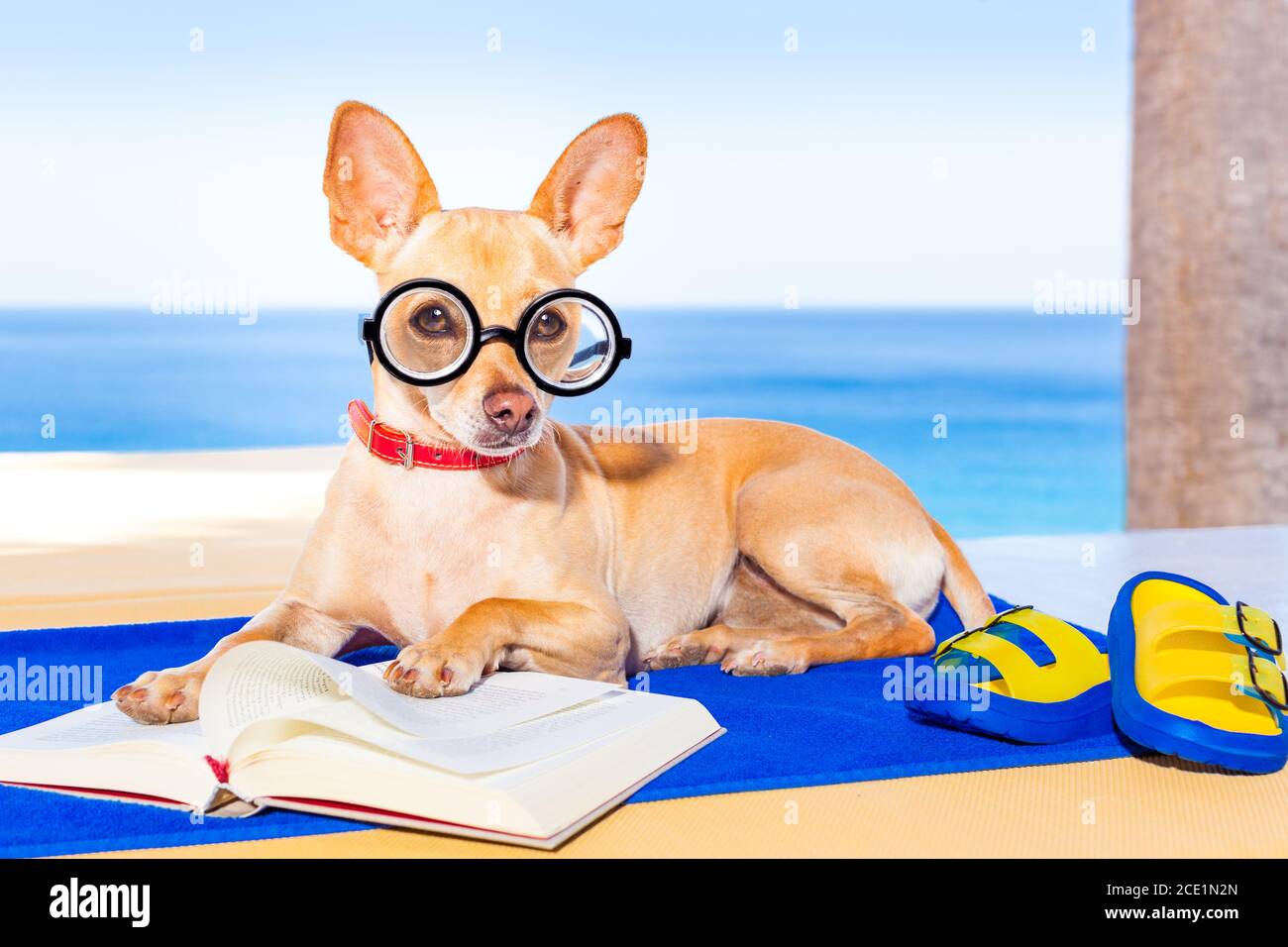 Reading magazine at beach hi-res stock photography and images - Alamy