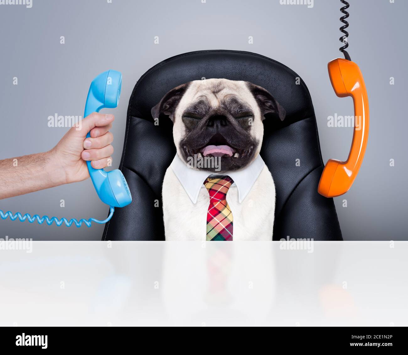 office worker boss dog Stock Photo - Alamy