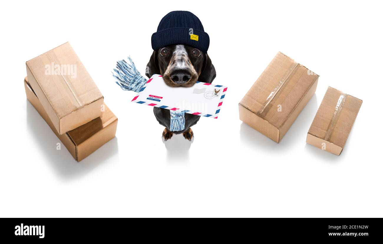 dog mail deliver postal post man Stock Photo - Alamy