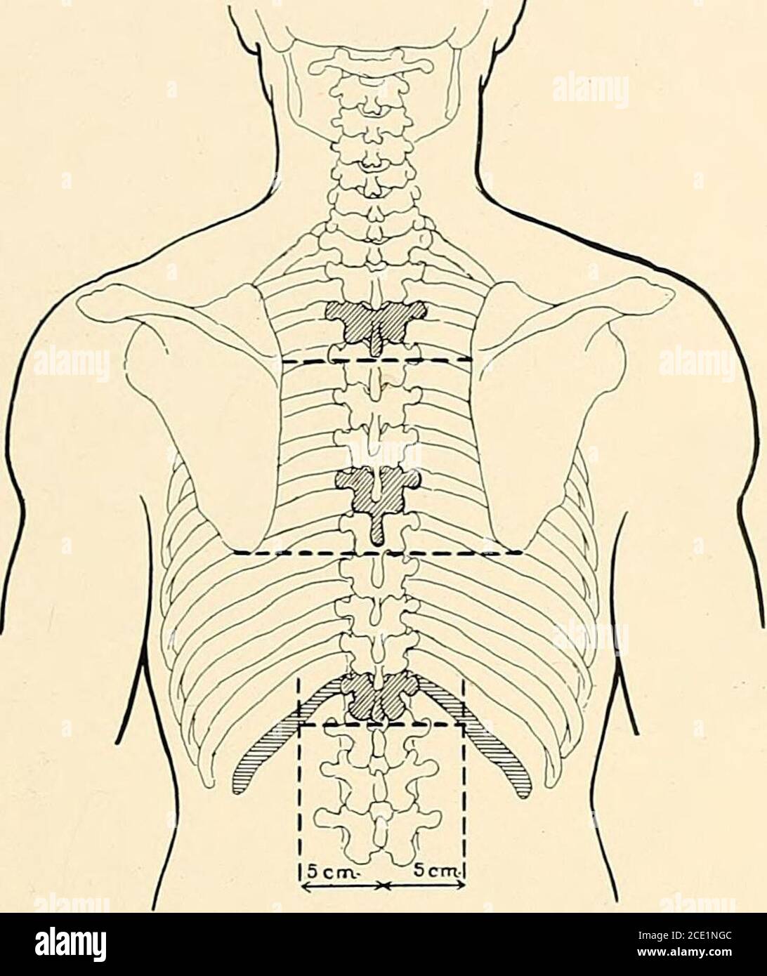 . Regional anesthesia : its technic and clinical application . ^ing in ...