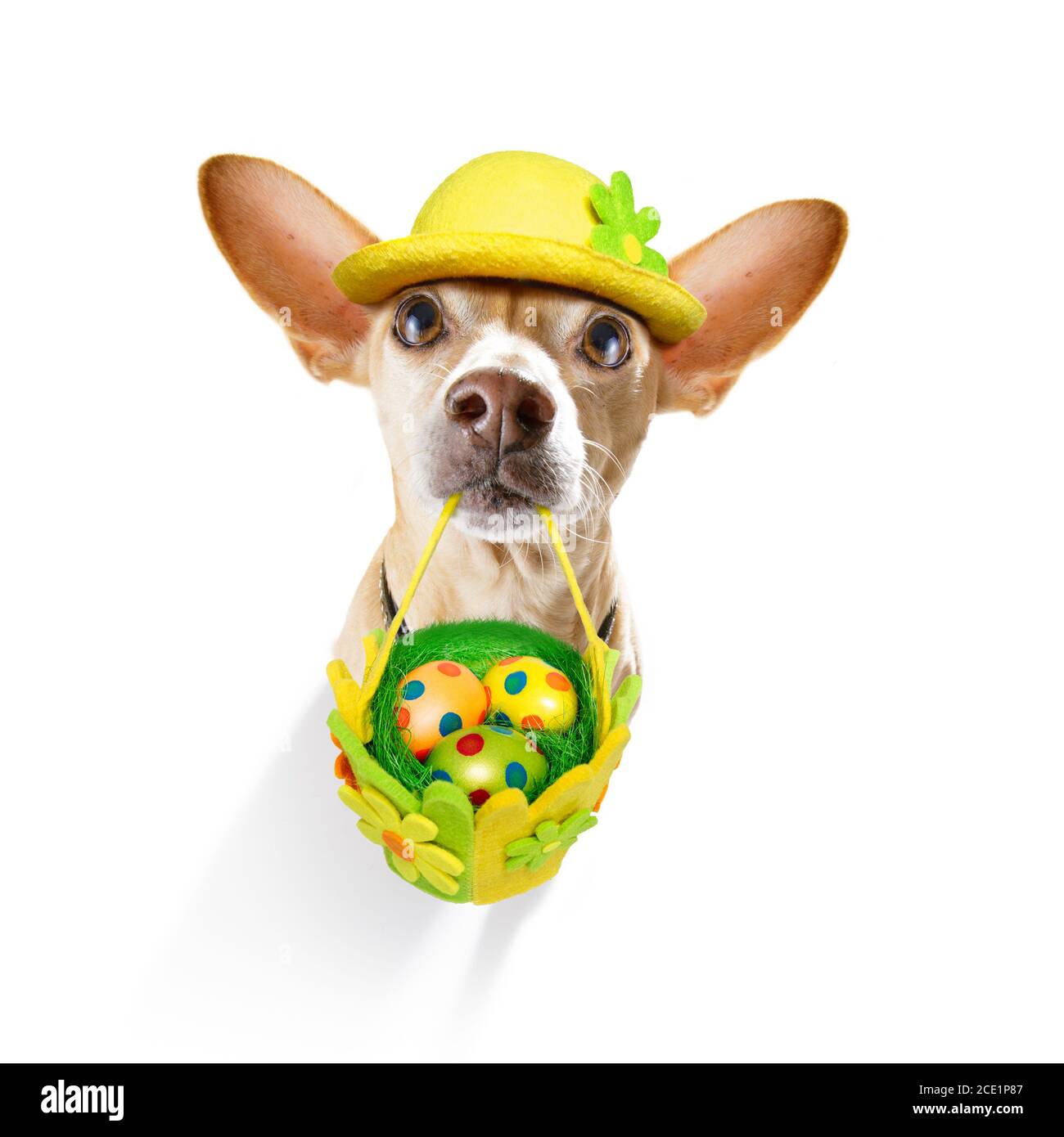 Happy easter frame decorative Cut Out Stock Images & Pictures - Alamy