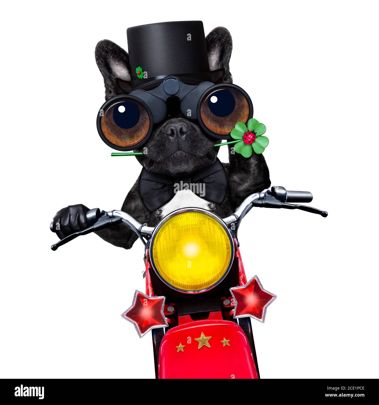 Bulldog motor hi-res stock photography and images - Alamy