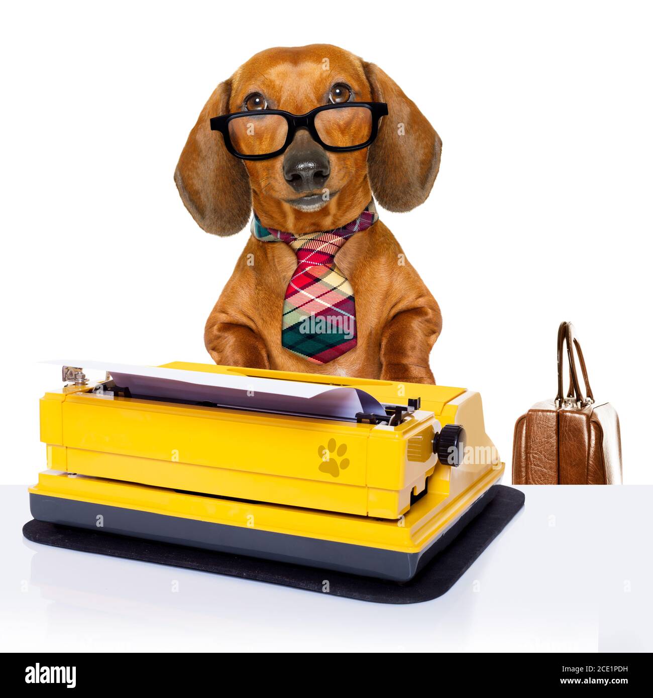 office worker boss dog Stock Photo - Alamy