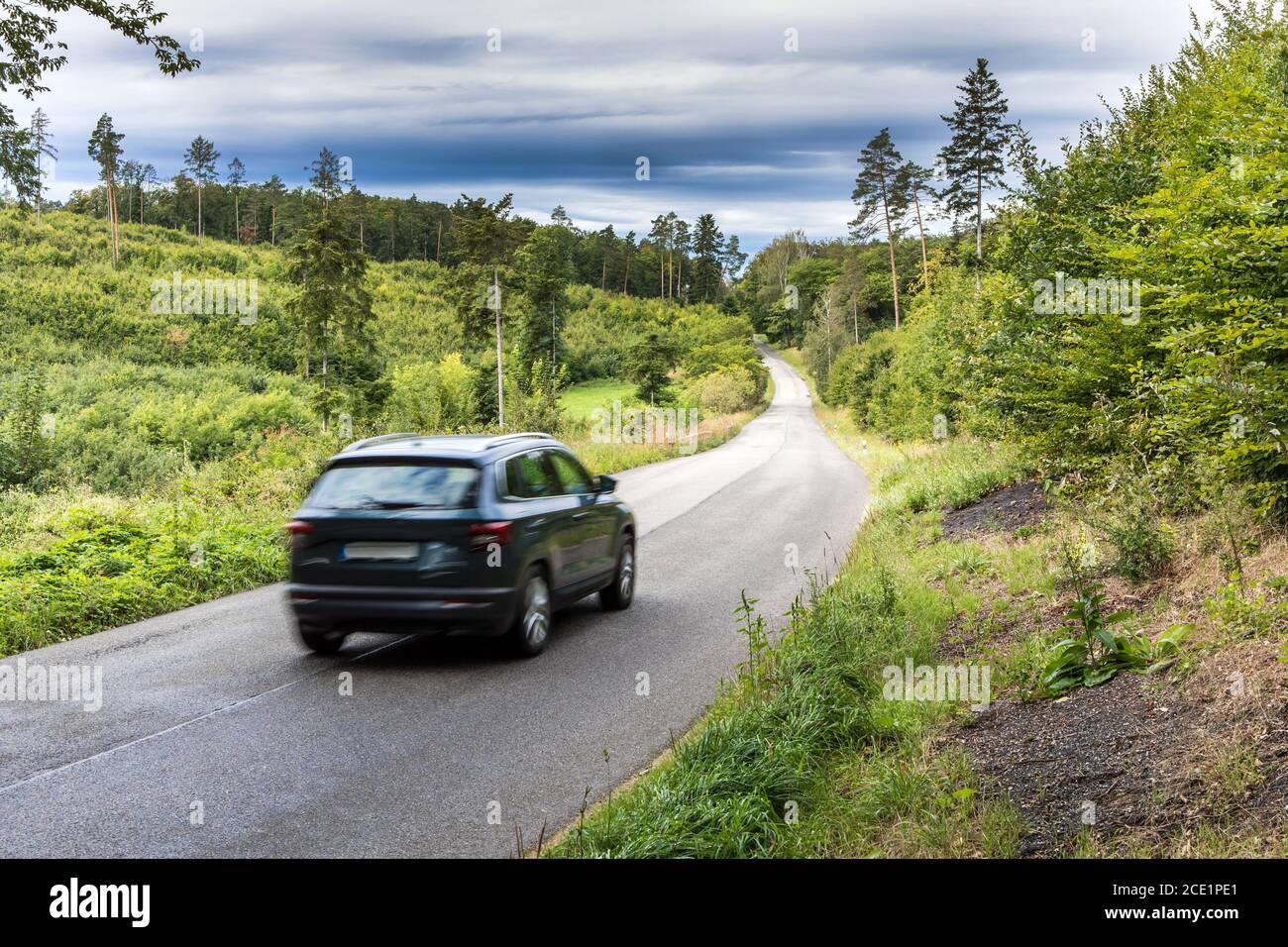 Asphalt road through green forest, trees, pines, spruces. Asphalt road ...