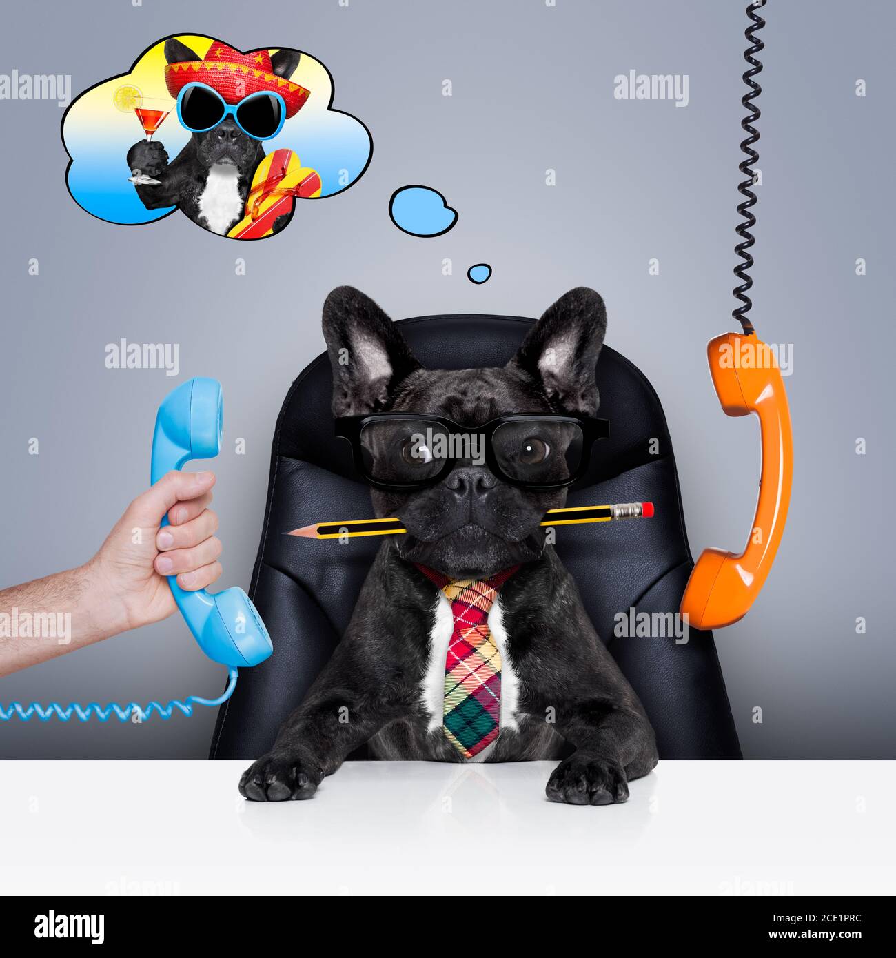 office worker boss dog Stock Photo - Alamy