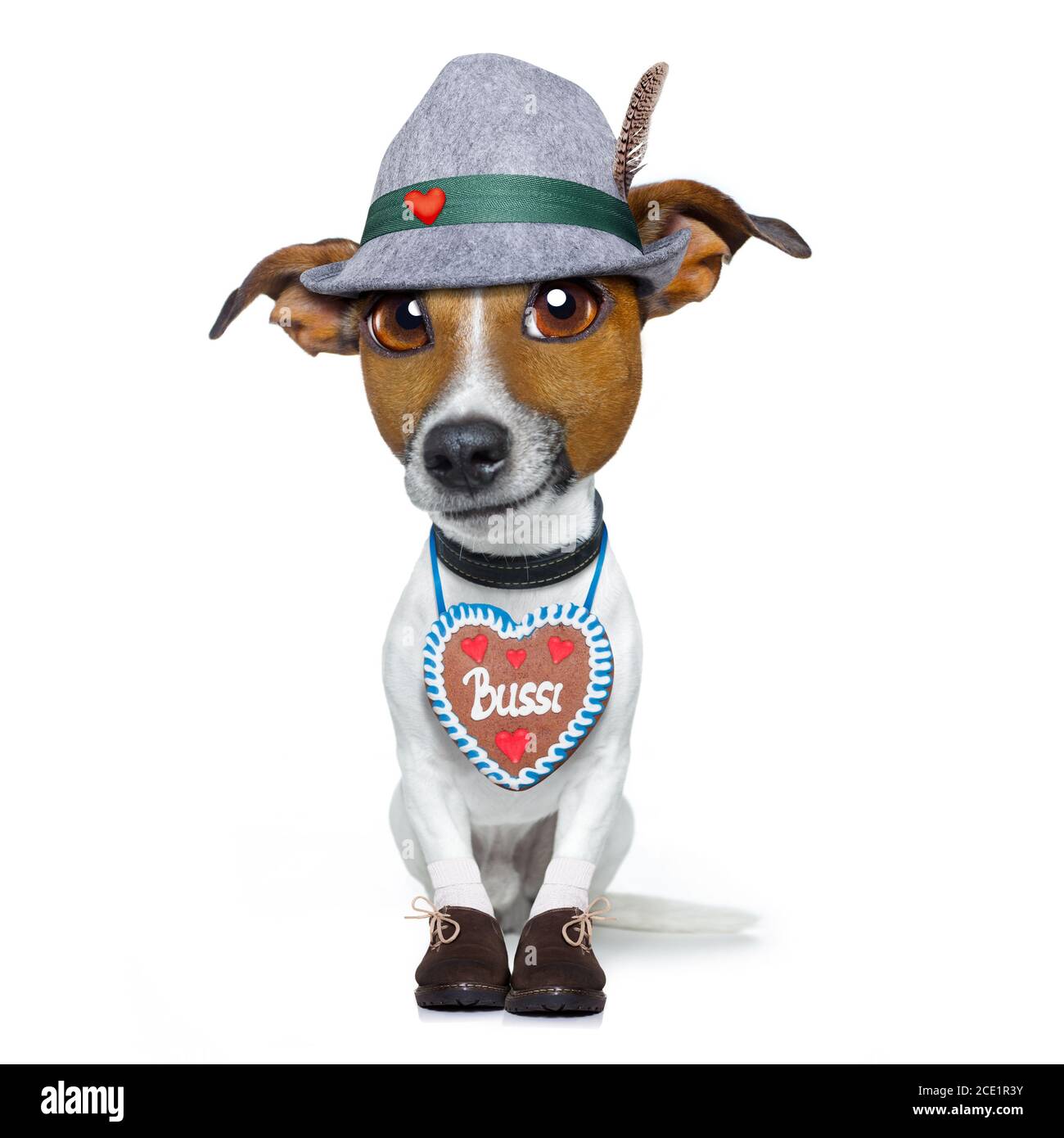 bavarian beer dog Stock Photo - Alamy