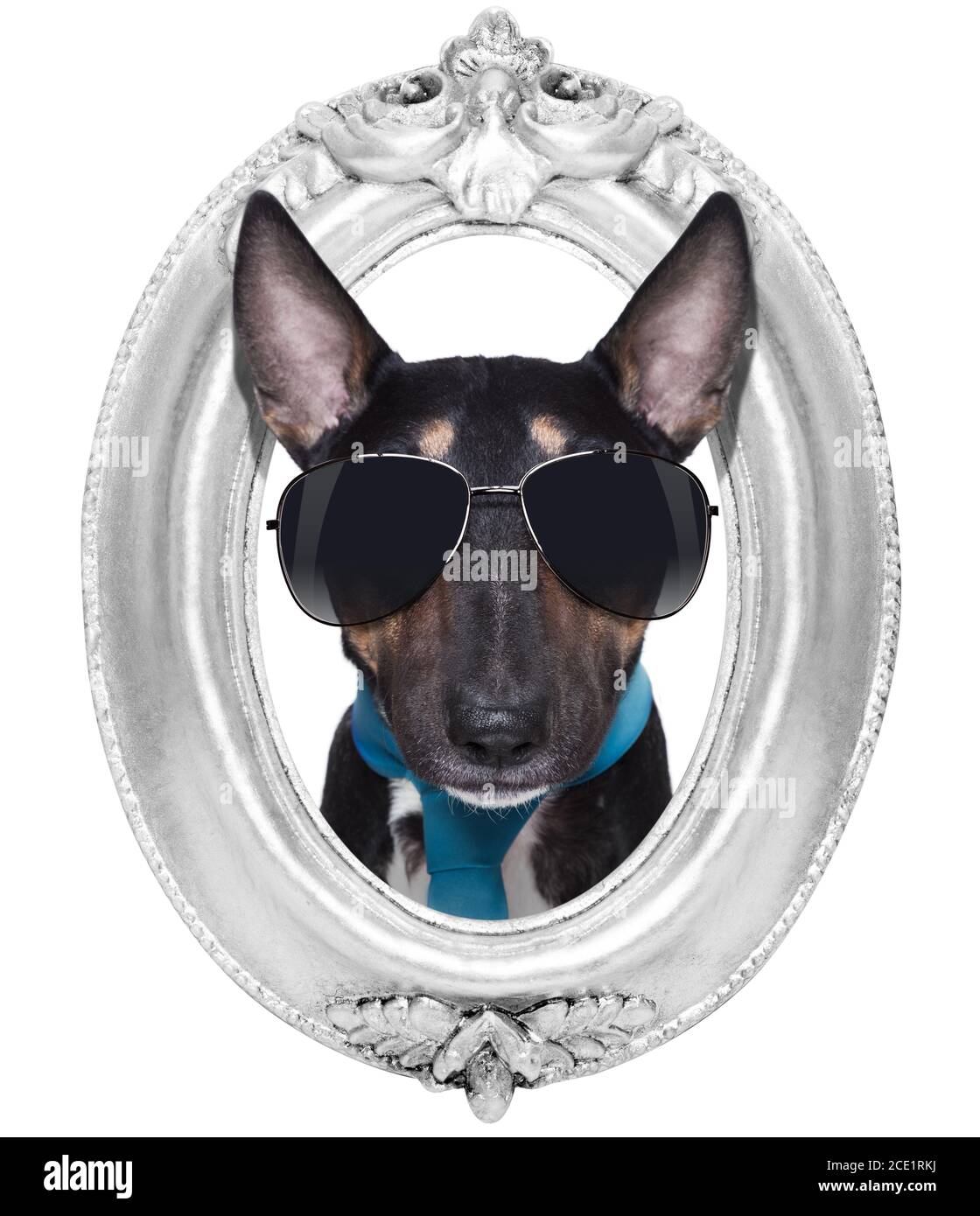 dog in a frame Stock Photo - Alamy