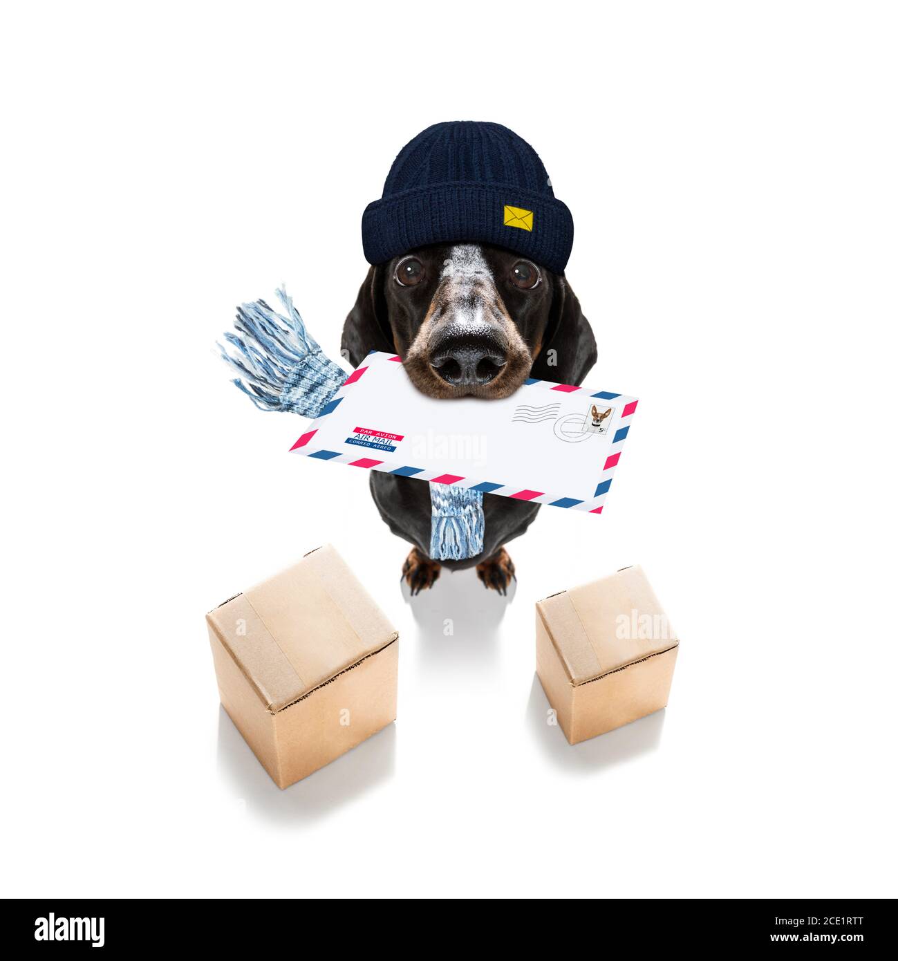 Mailman dog Cut Out Stock Images & Pictures - Alamy