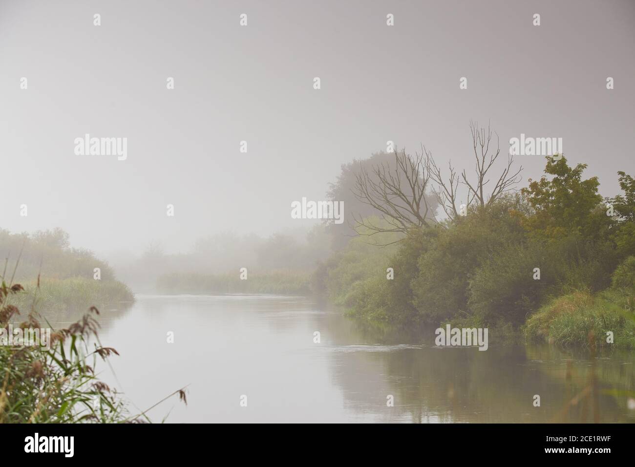 Autumn weather. Overcast rainy dawn. Cloudy sunrise. Haze and mist over ...