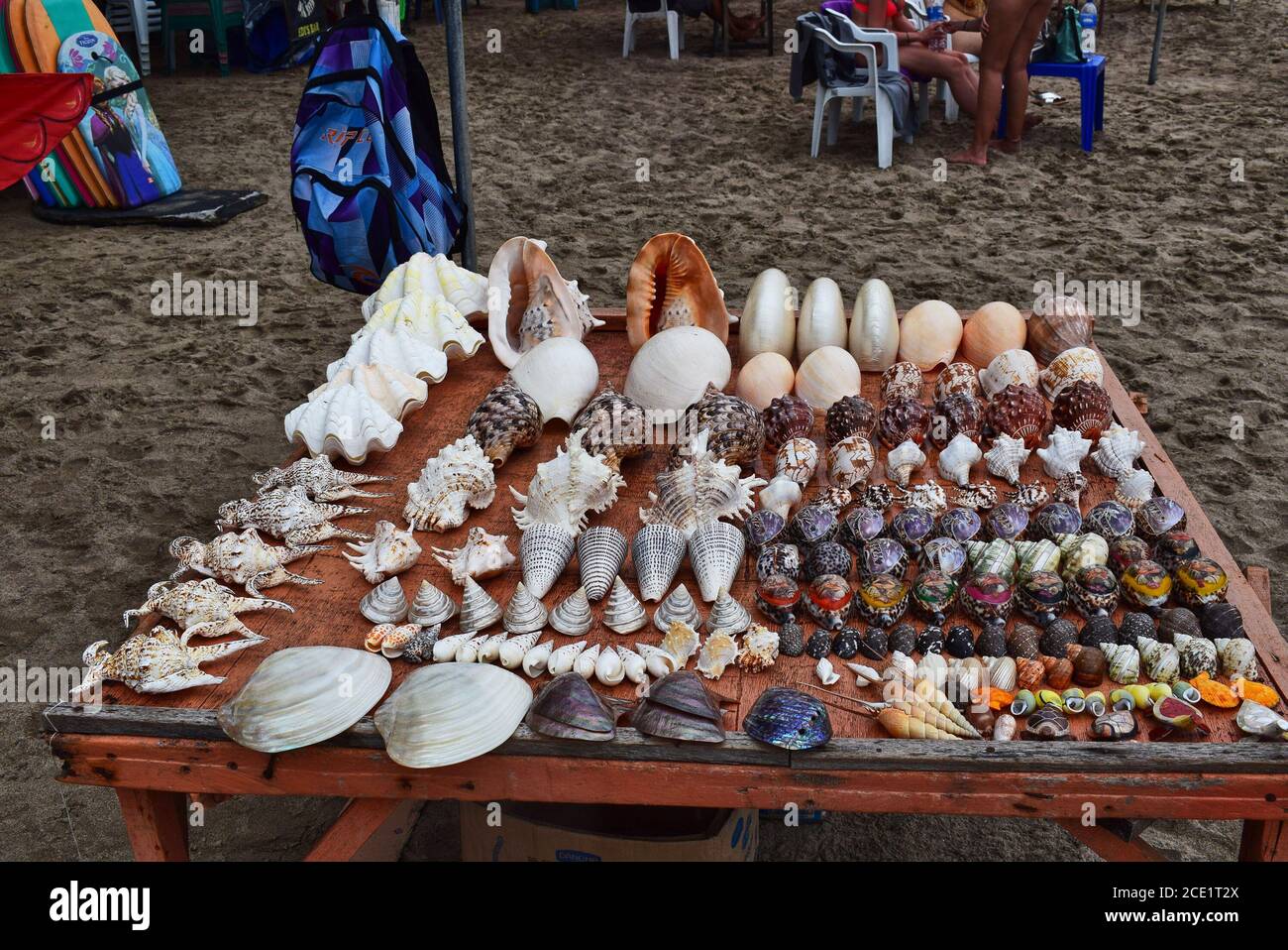 Gorgeous colorful collection of seashells in top view perspective ...