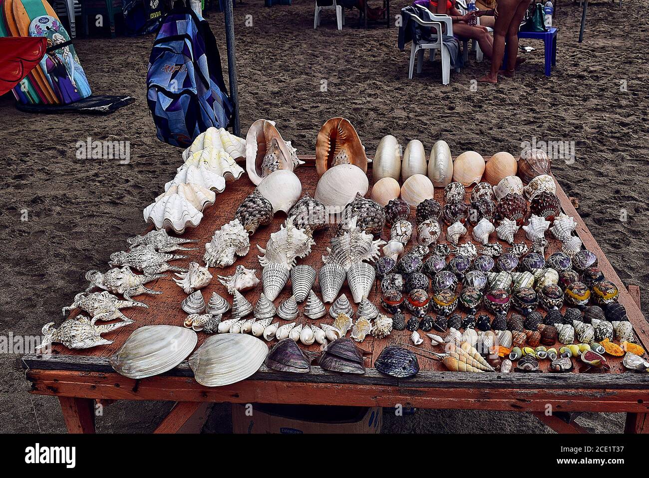Gorgeous colorful collection of seashells in top view perspective ...