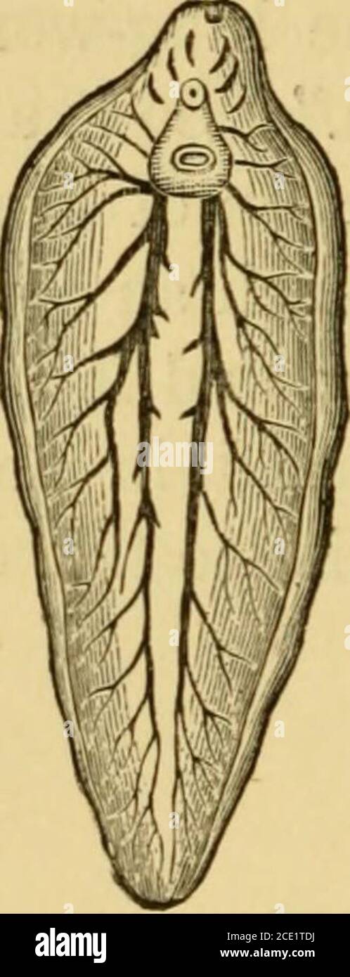 Farmers eng hi-res stock photography and images - Alamy