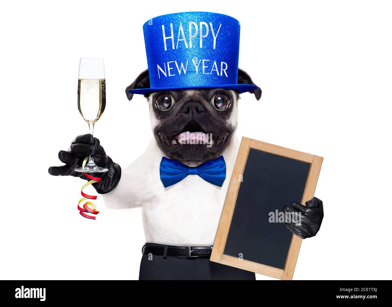 happy new year dog Stock Photo - Alamy