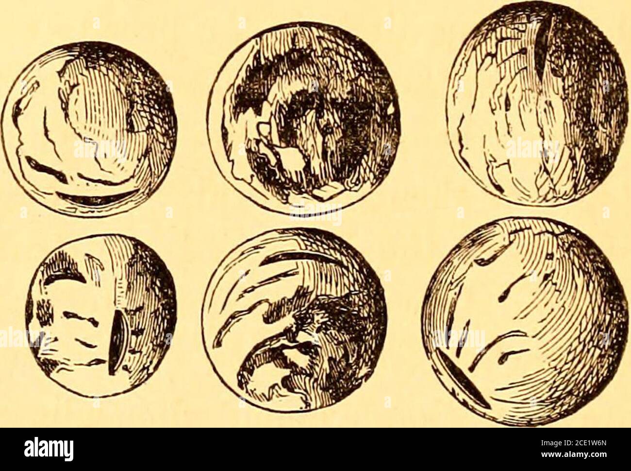 Nee deter hi-res stock photography and images - Alamy