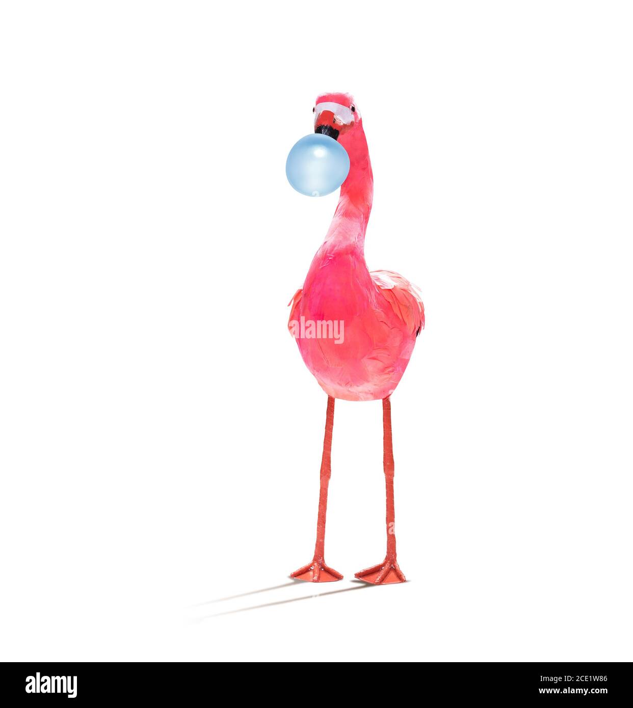 summer paradise vacation flamingo Stock Photo - Alamy