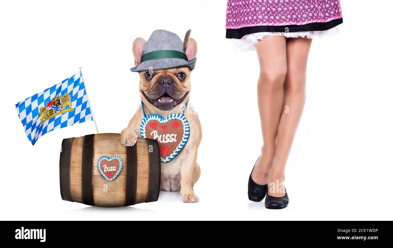 bavarian dog Stock Photo - Alamy