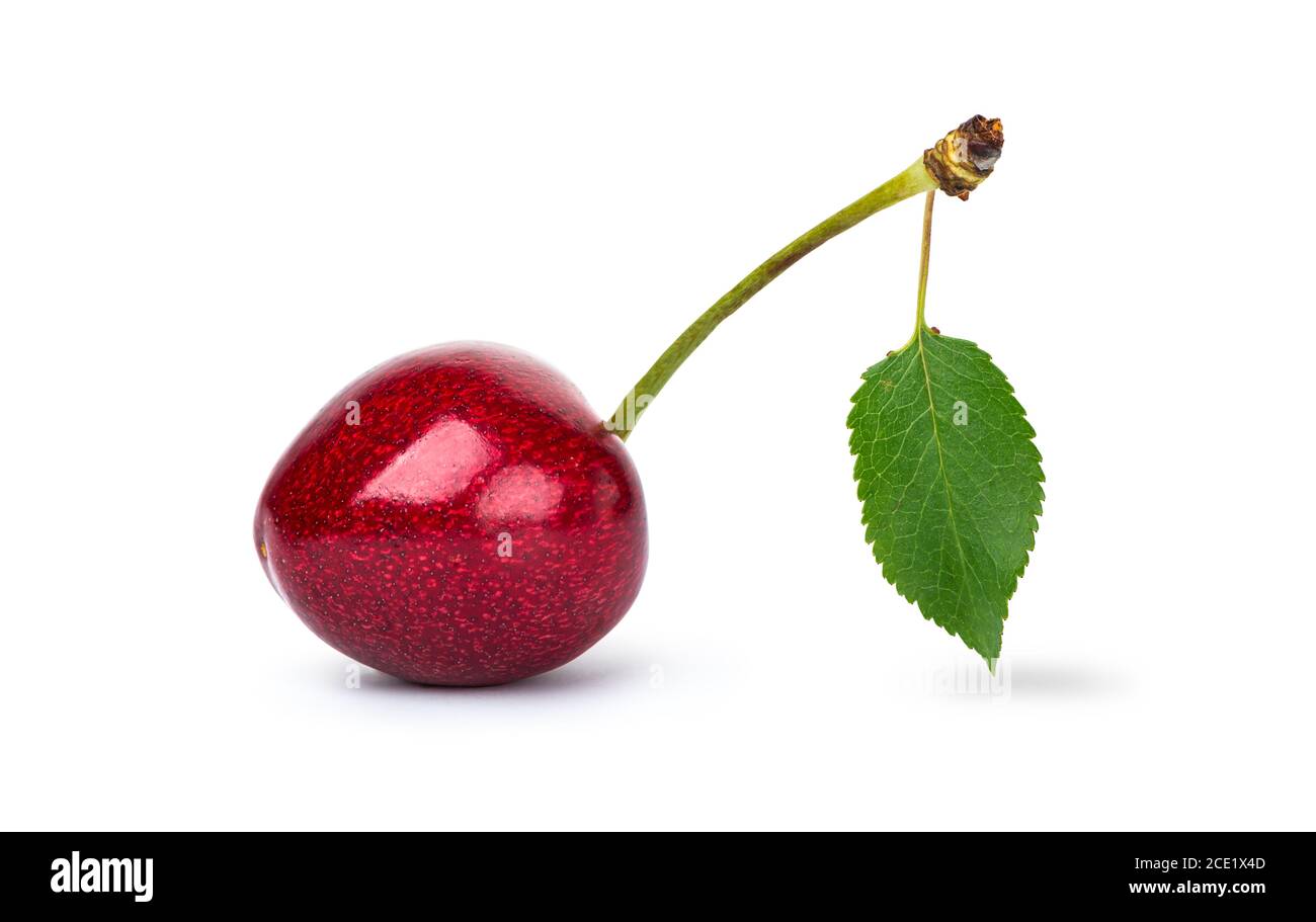 Sweet sour green cherry Cut Out Stock Images & Pictures - Alamy