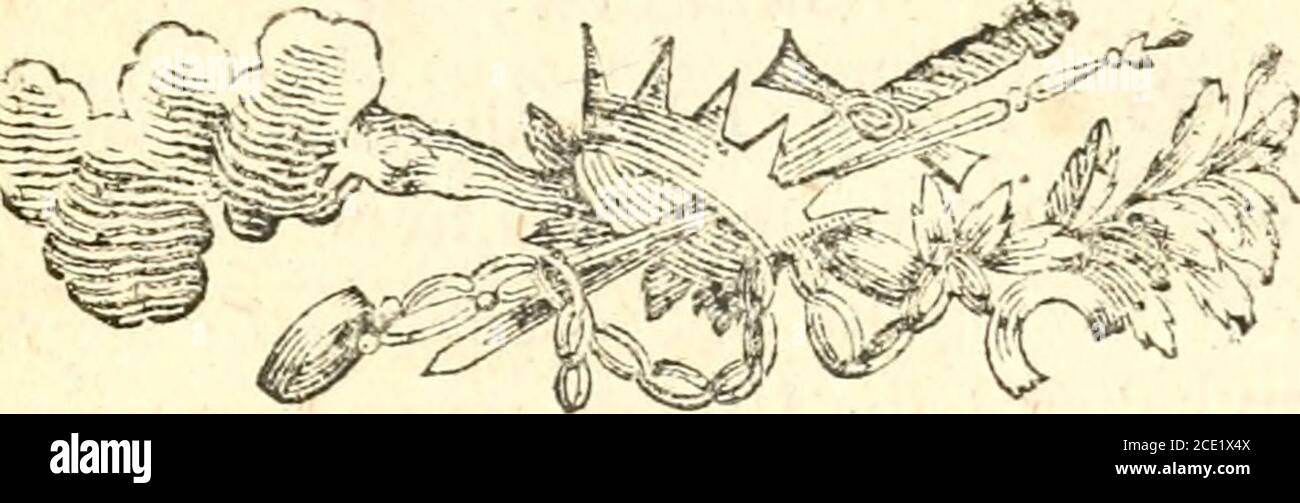 Mrs holman hi-res stock photography and images - Alamy