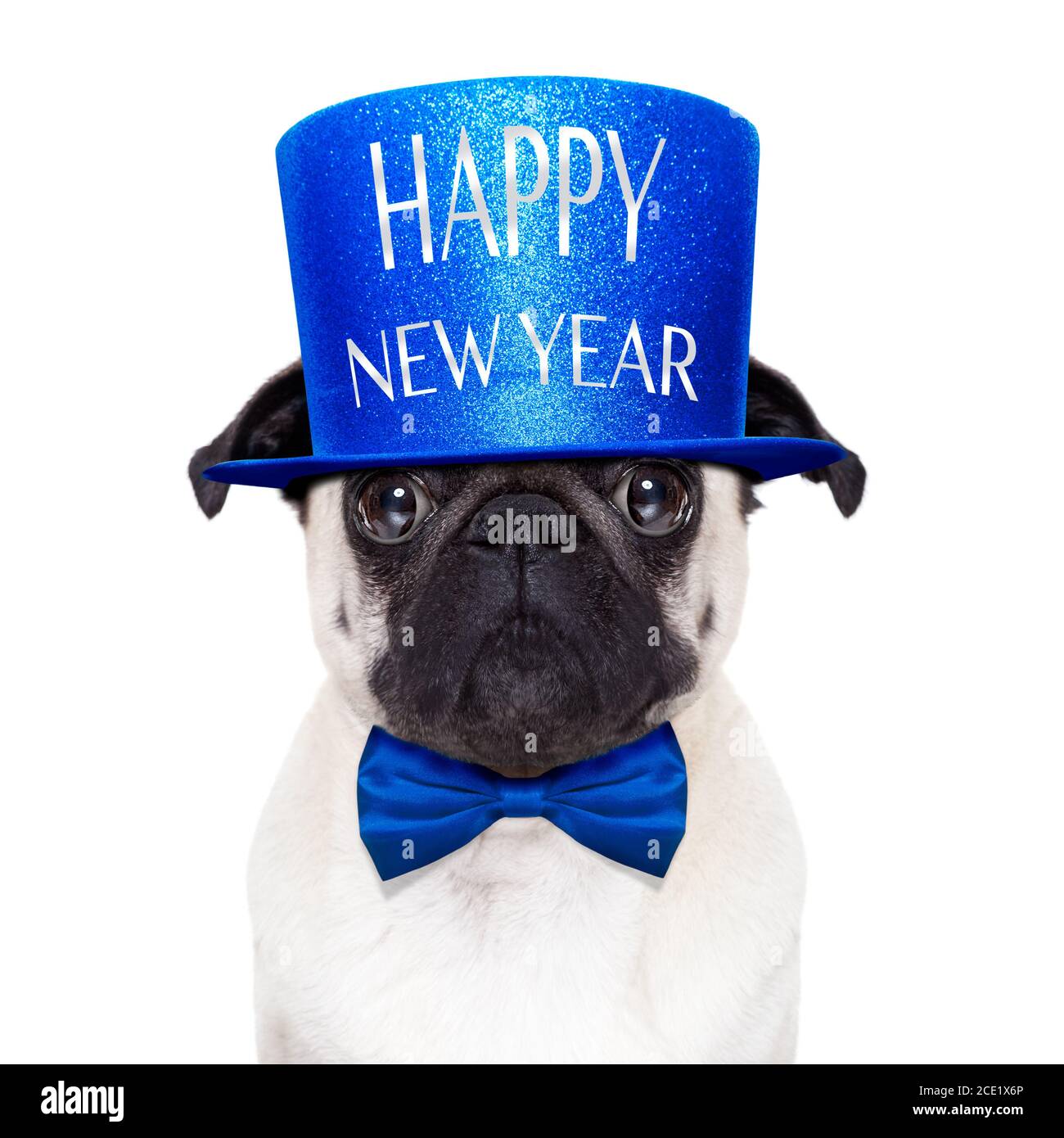 happy new year dog Stock Photo - Alamy