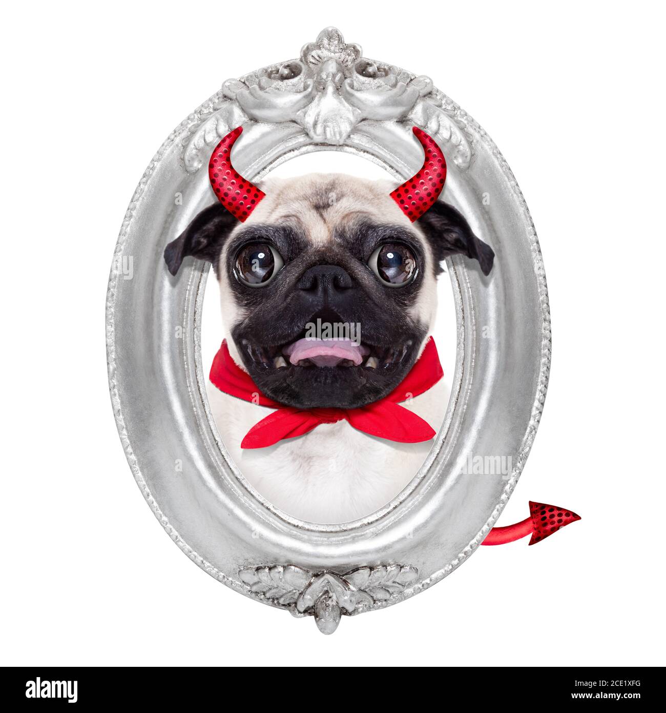 halloween devil dog Stock Photo - Alamy