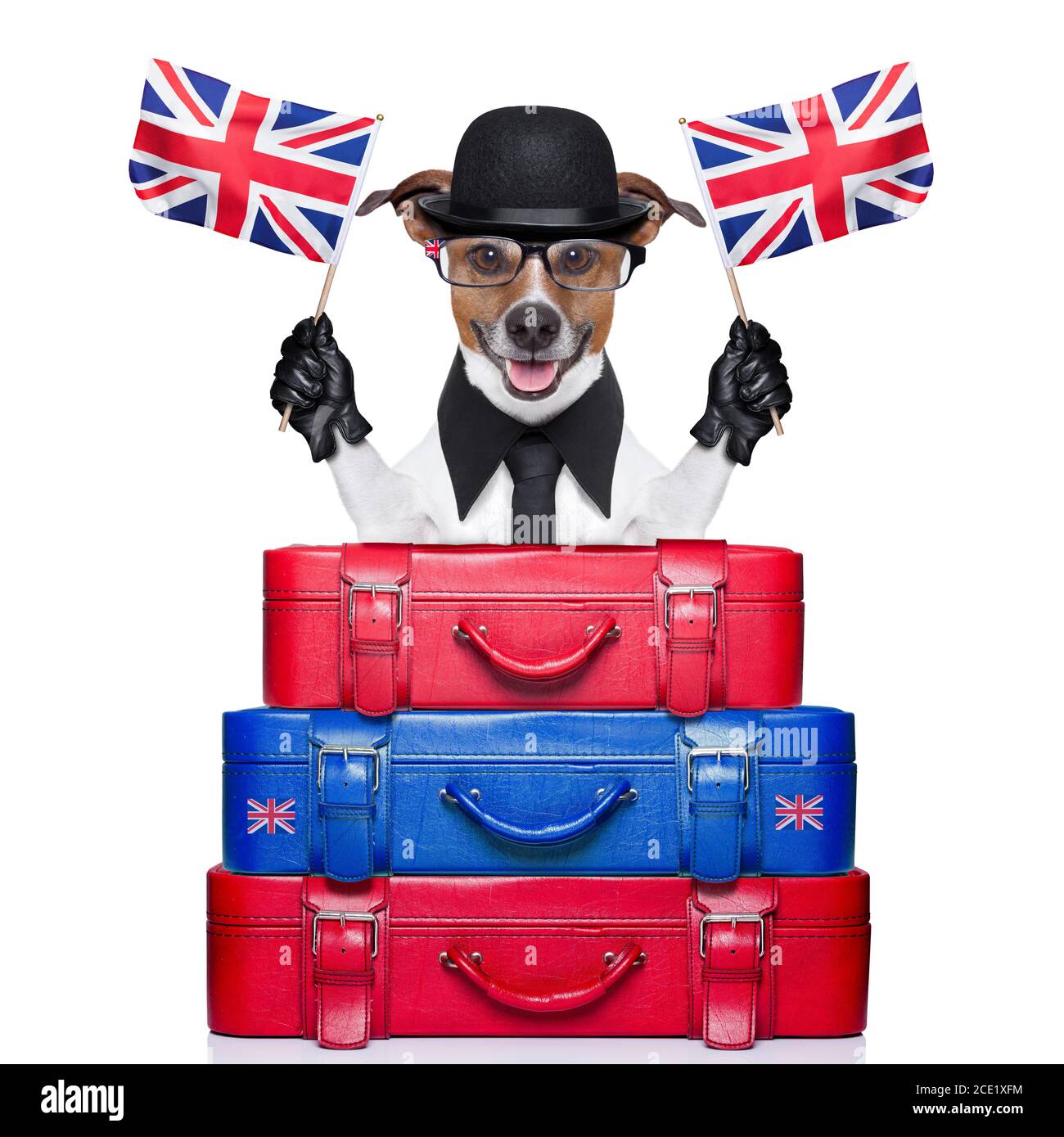 Dog english flag funny hi-res stock photography and images - Alamy