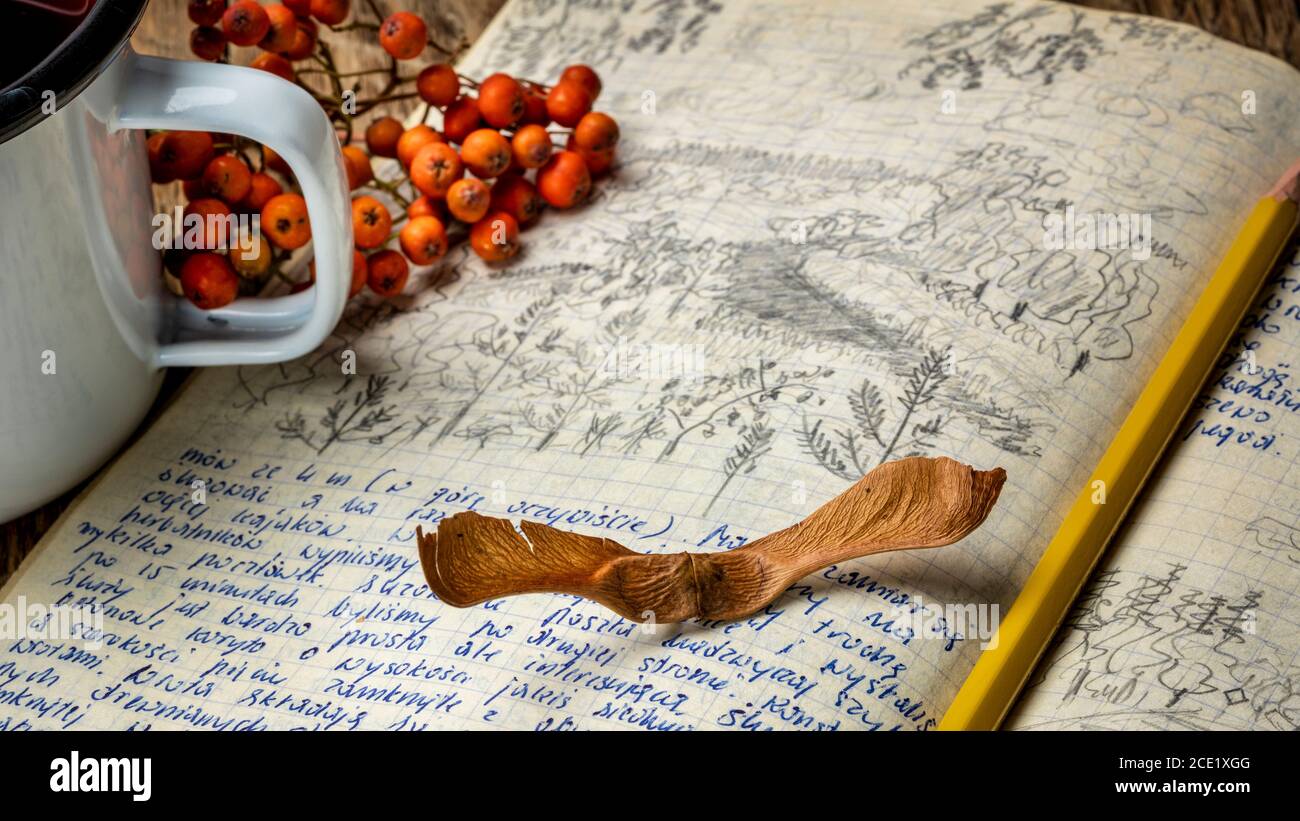 Vintage expedition journal with handwriting and pencil sketches on a ...