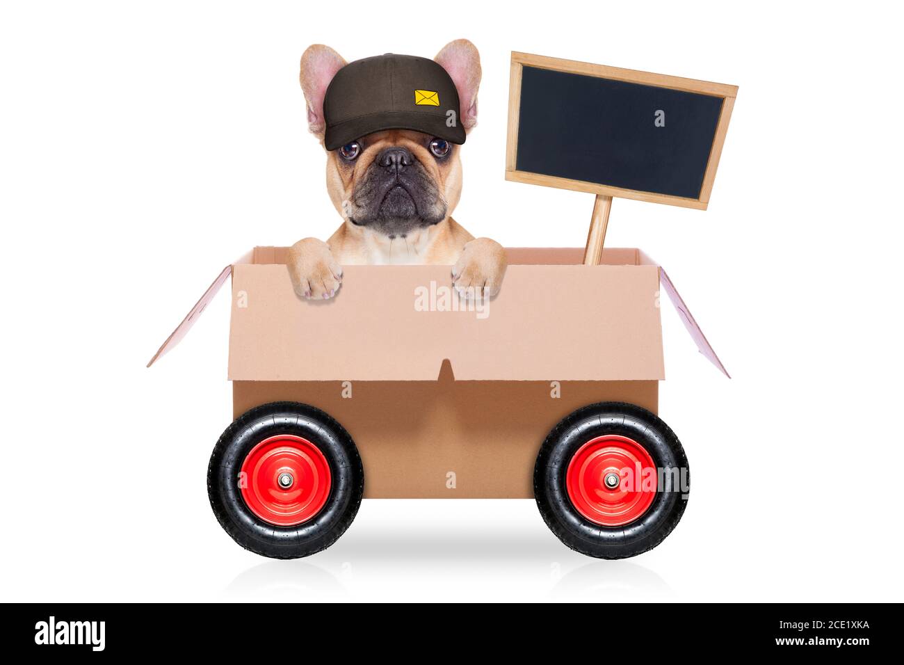 moving box dog Stock Photo - Alamy