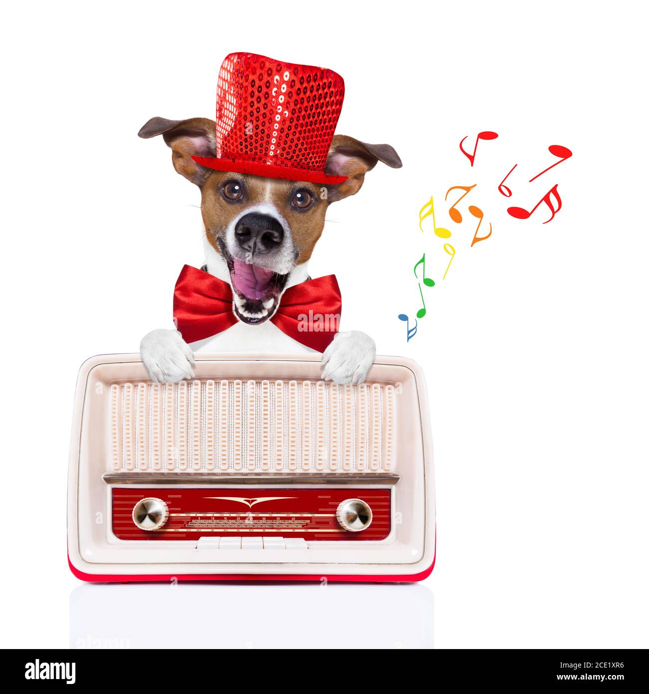 dog listening radio music Stock Photo - Alamy