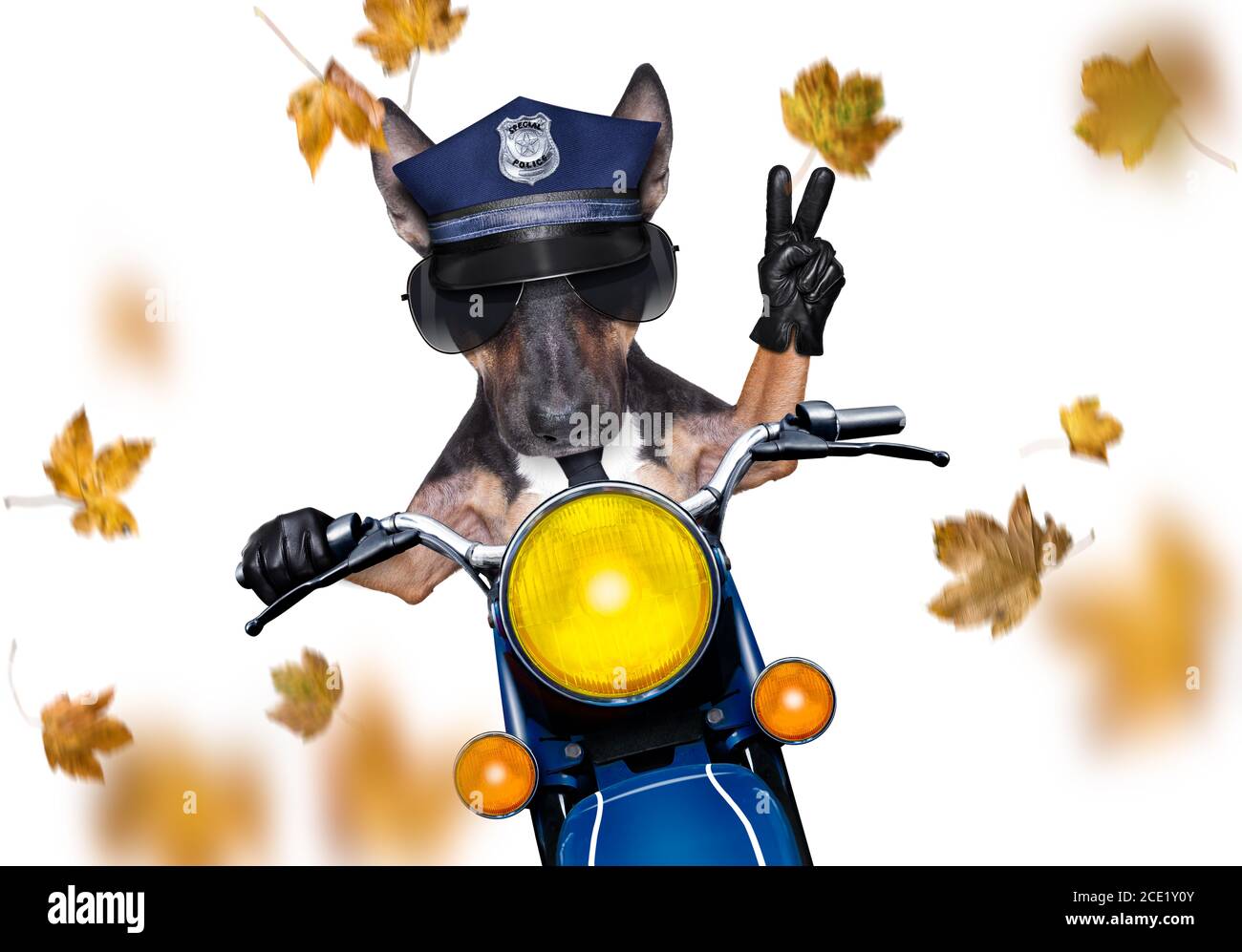 Vespa motorcycle funny hi-res stock photography and images - Alamy