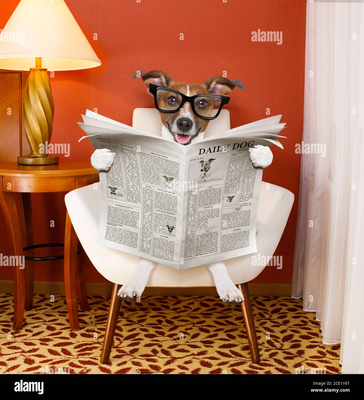 dog reading newspaper at home Stock Photo - Alamy
