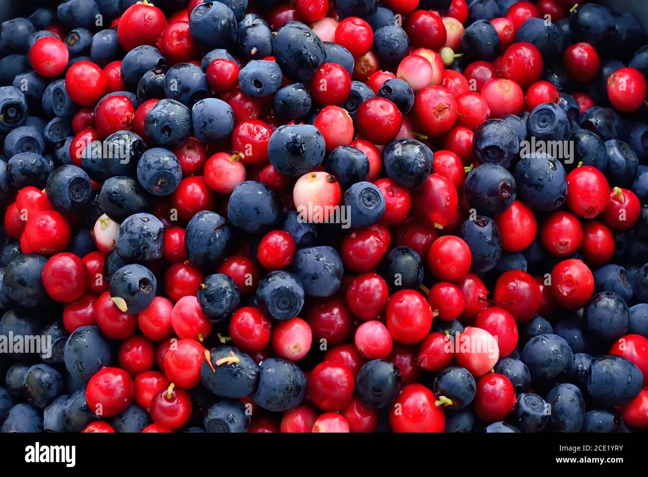 Ripe cranberries and blueberries close up. Natural background Stock ...