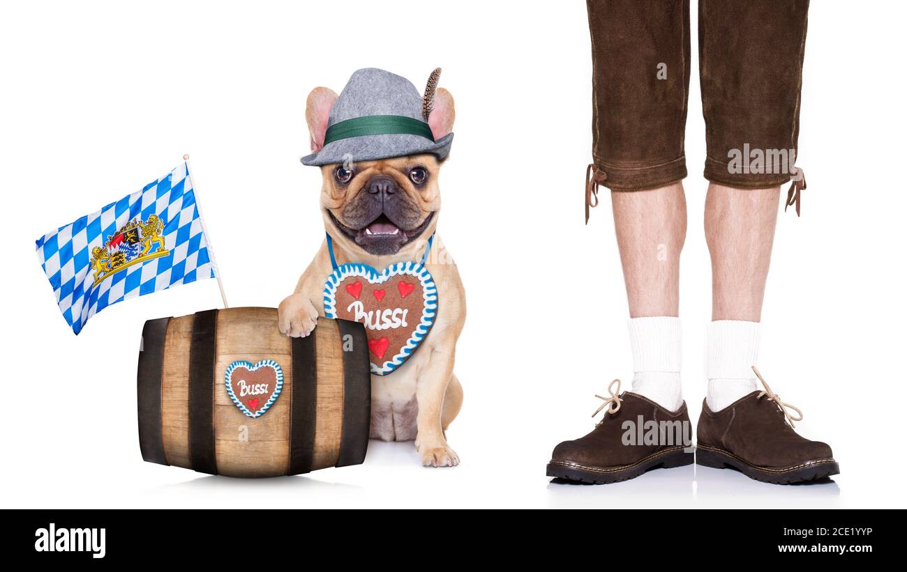 bavarian dog Stock Photo - Alamy