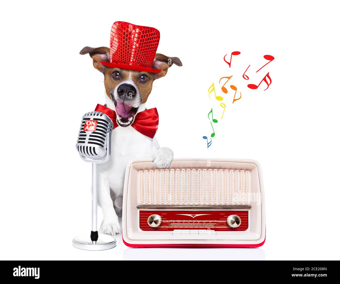 dog singing with microphone Stock Photo - Alamy