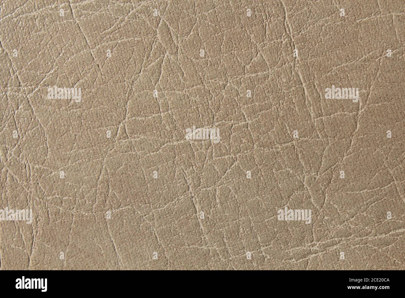 Abstract leather light background with copy space for design and text ...