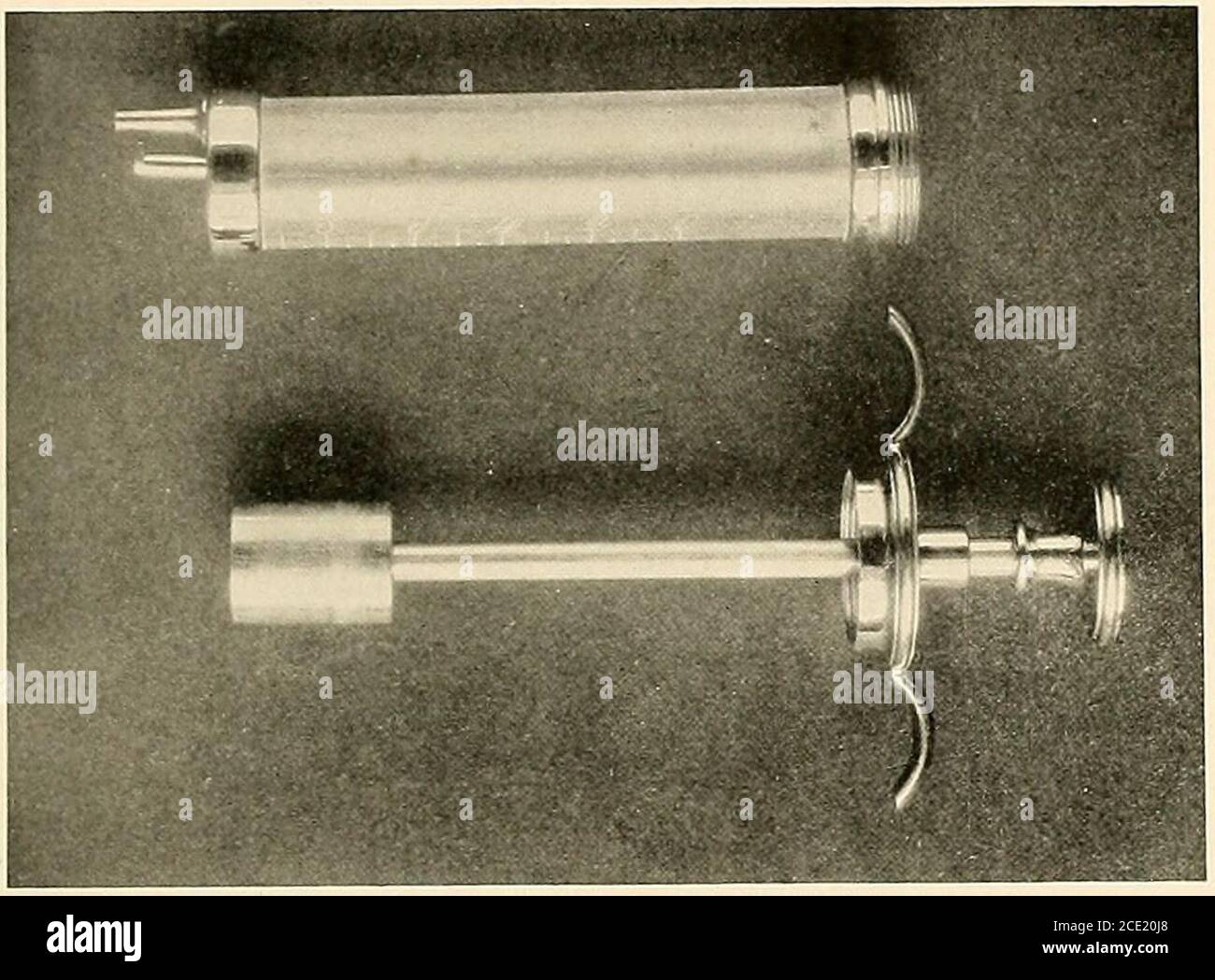 . Regional anesthesia : its technic and clinical application ...