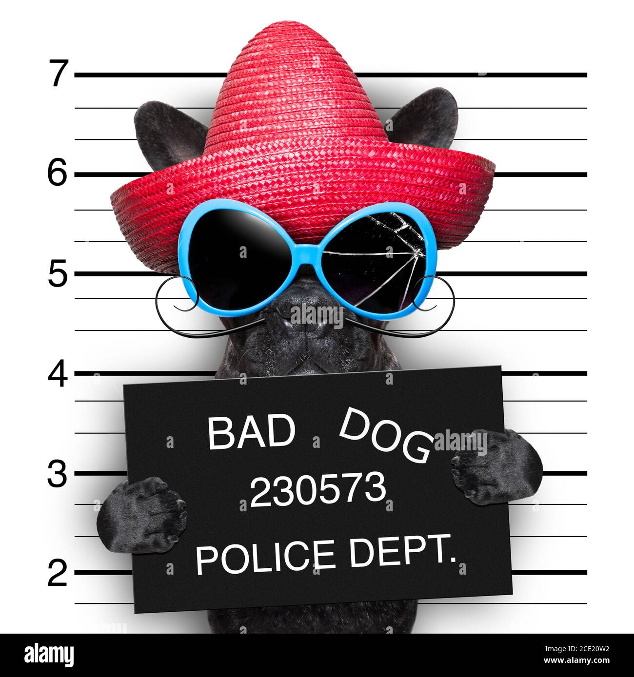 Police Suspect Board High Resolution Stock Photography and Images - Alamy
