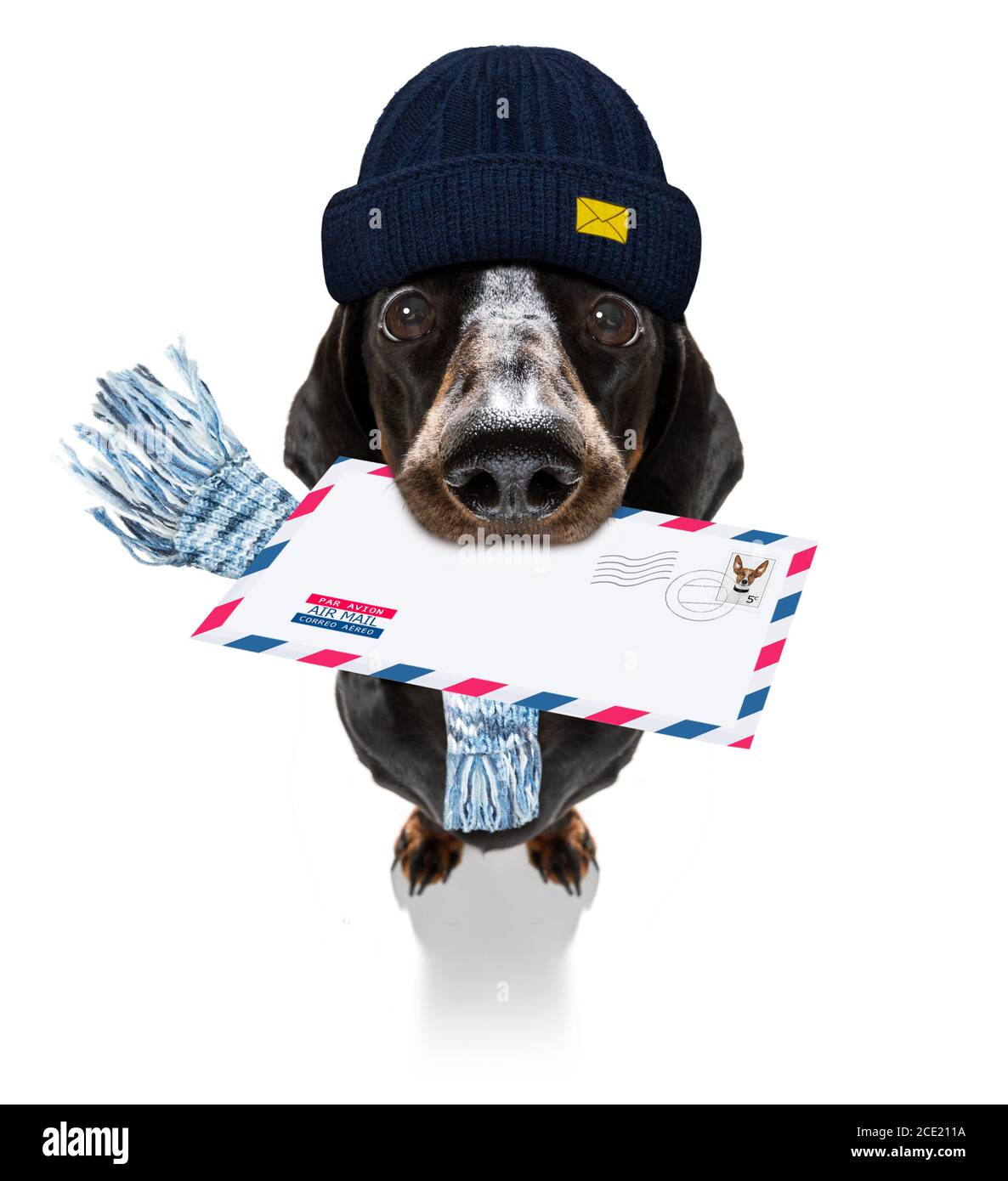 Fragile dog Cut Out Stock Images & Pictures - Alamy