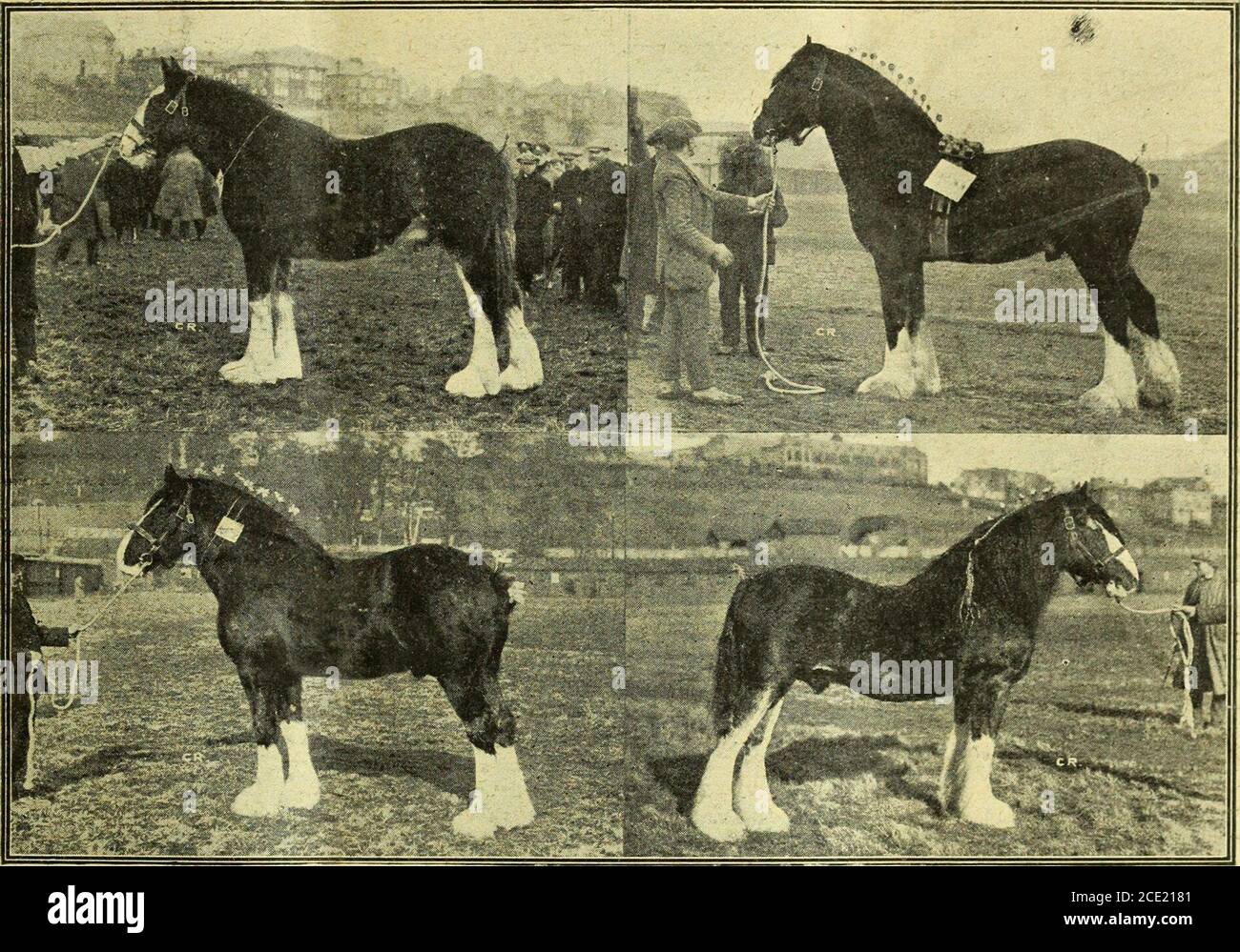 Cham traders hi-res stock photography and images - Alamy