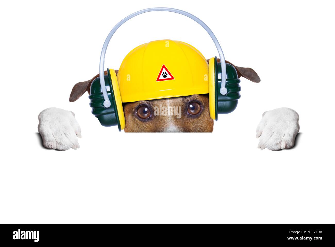 under construction dog Stock Photo - Alamy