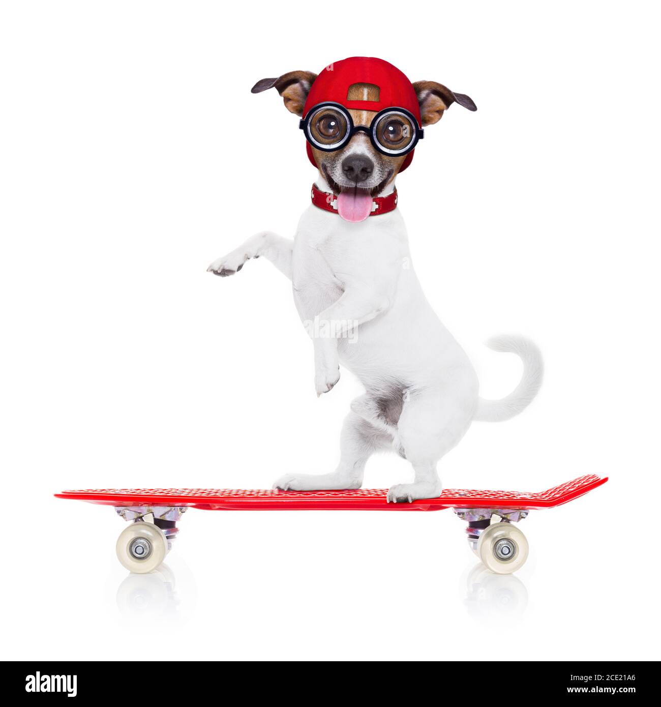 skater boy dog Stock Photo - Alamy