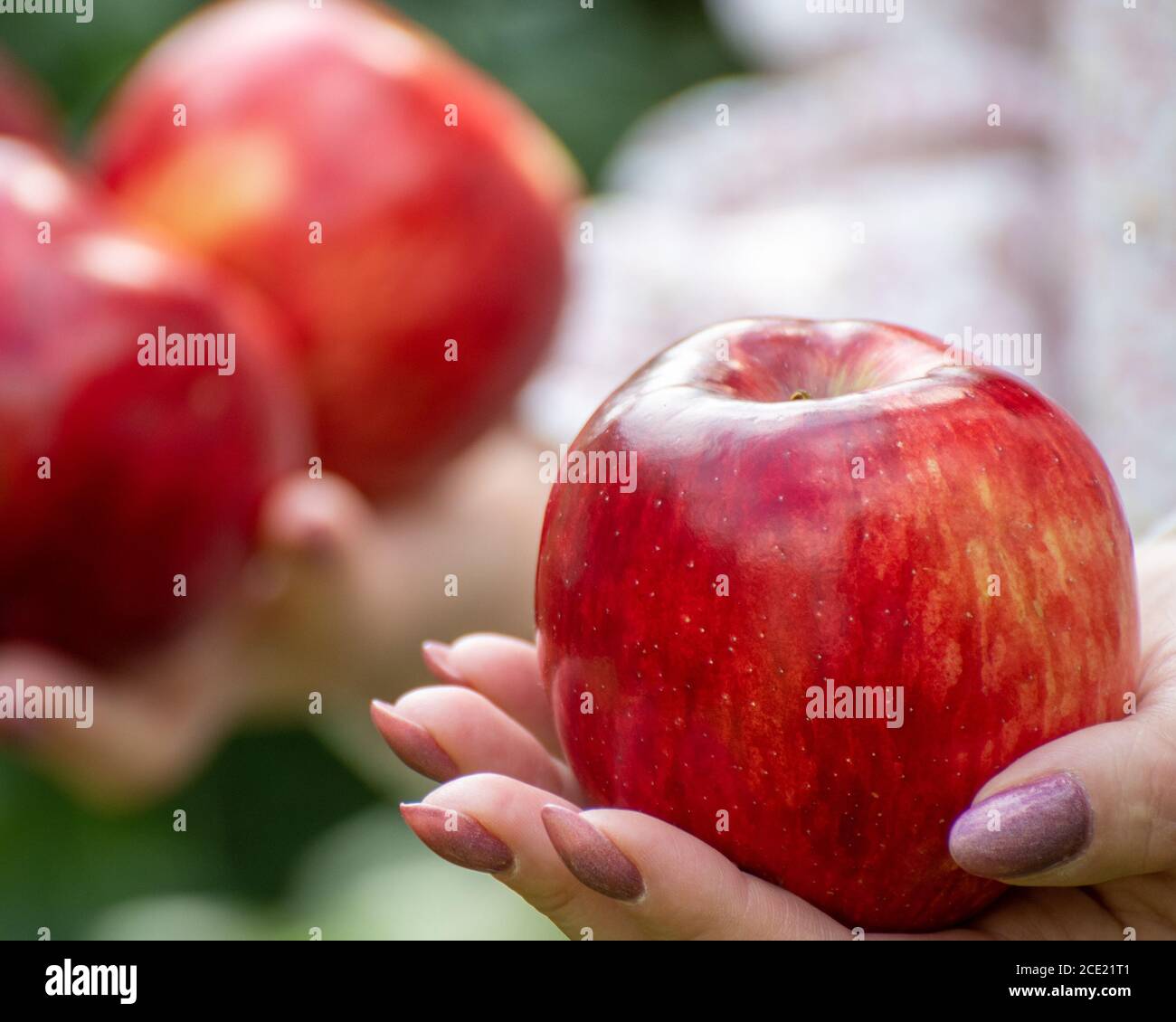 Beautiful female hands in hi-res stock photography and images - Alamy