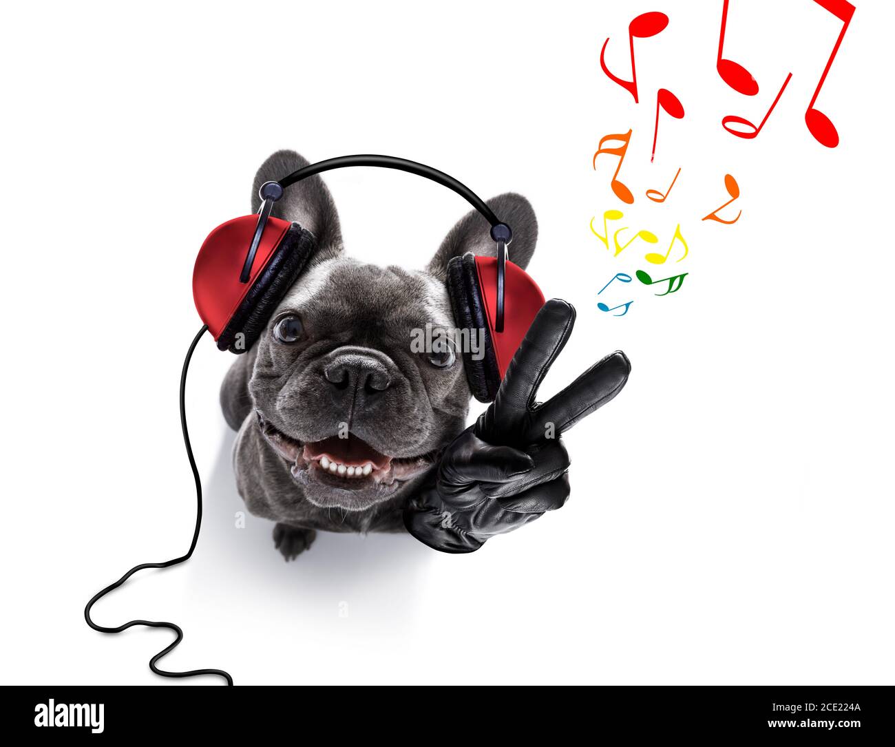 Dog Listening To Music Stock Photo Alamy Dog Listening To Music Stock Photo Alamy