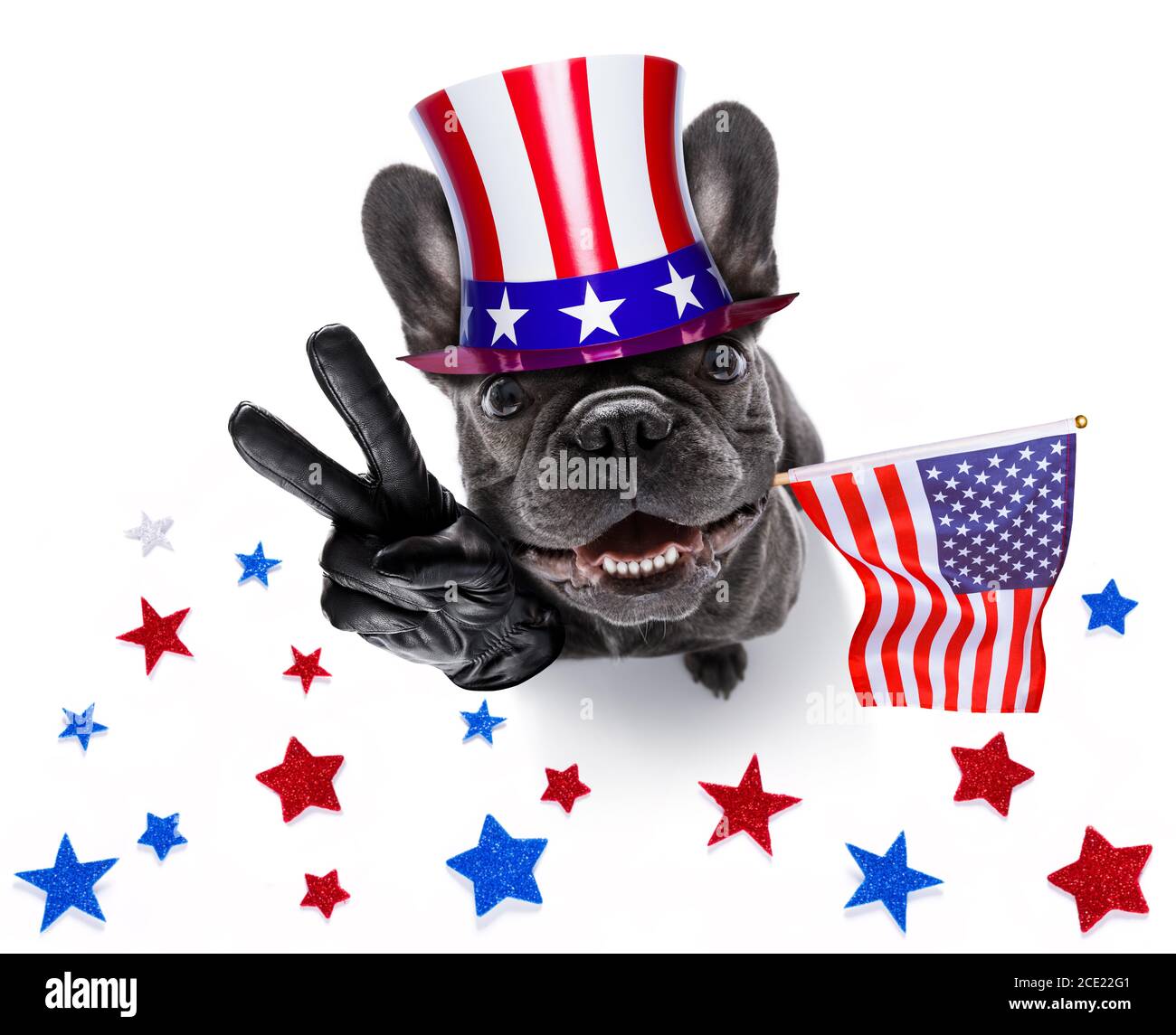 independence day 4th of july dog Stock Photo - Alamy