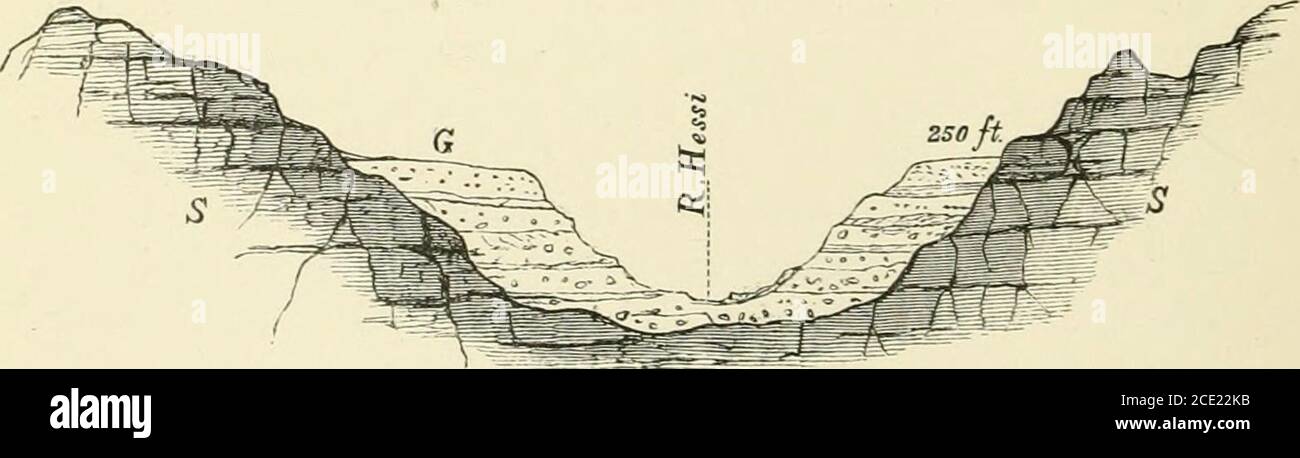 Mount Seir, Sinai and western Palestine. Being a narrative of a ...