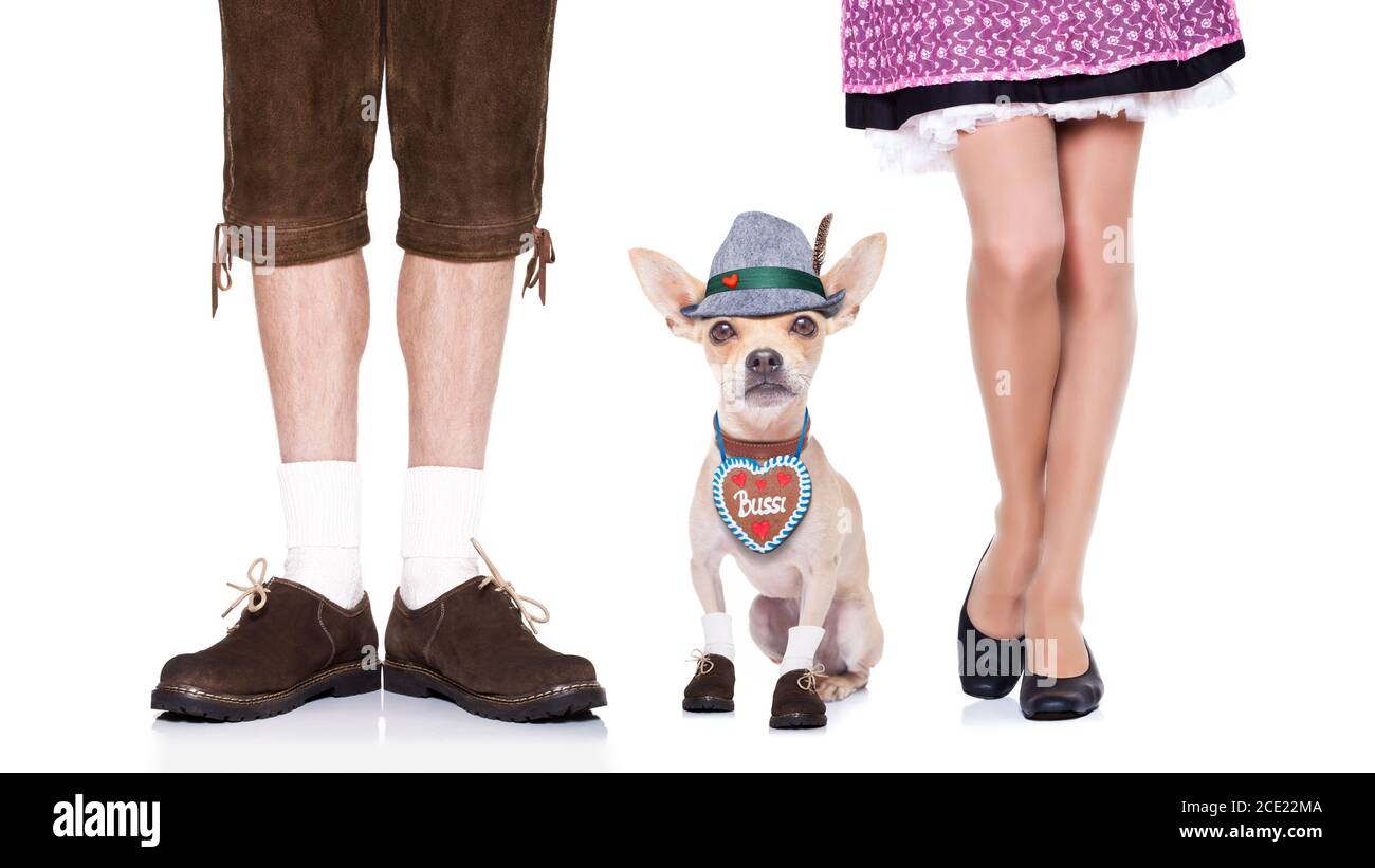 bavarian beer dog Stock Photo - Alamy