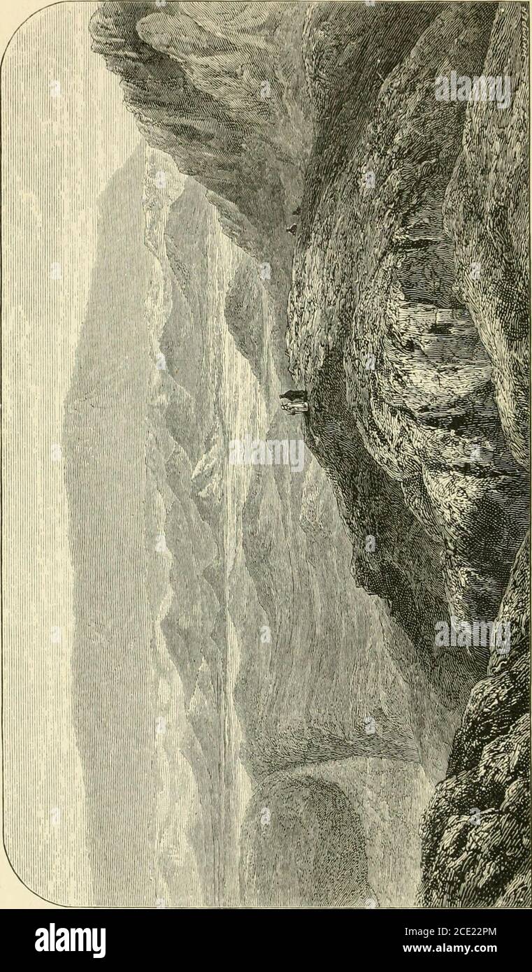 Mount Seir, Sinai and western Palestine. Being a narrative of a ...