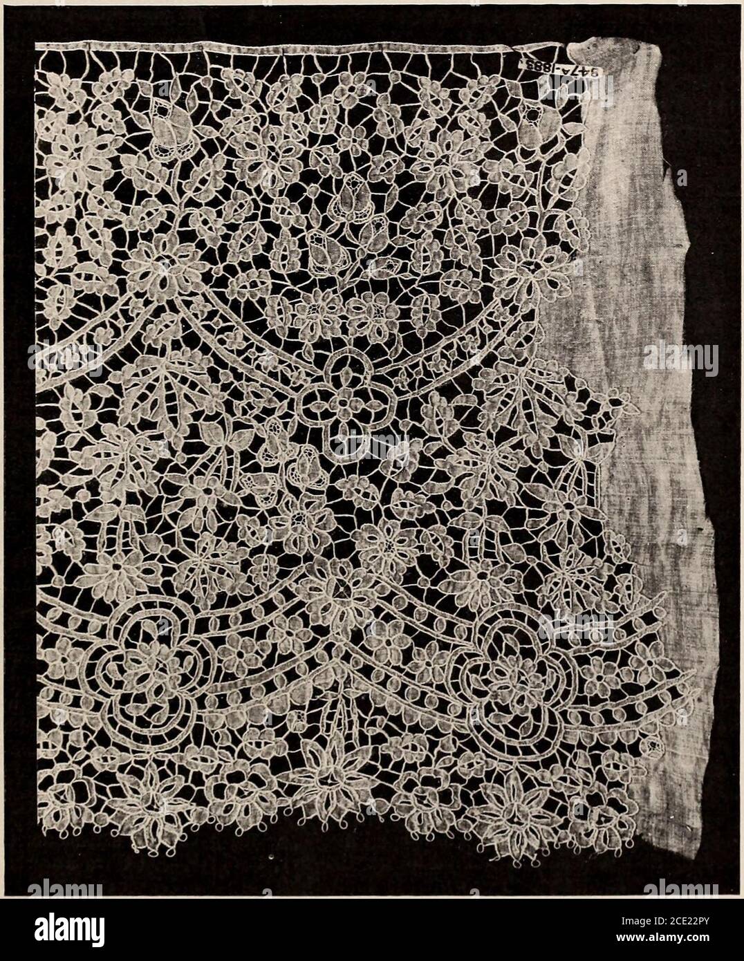 Lille lace hi-res stock photography and images - Alamy