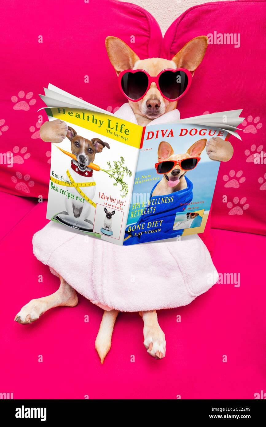 Reading therapy dog hi-res stock photography and images - Alamy