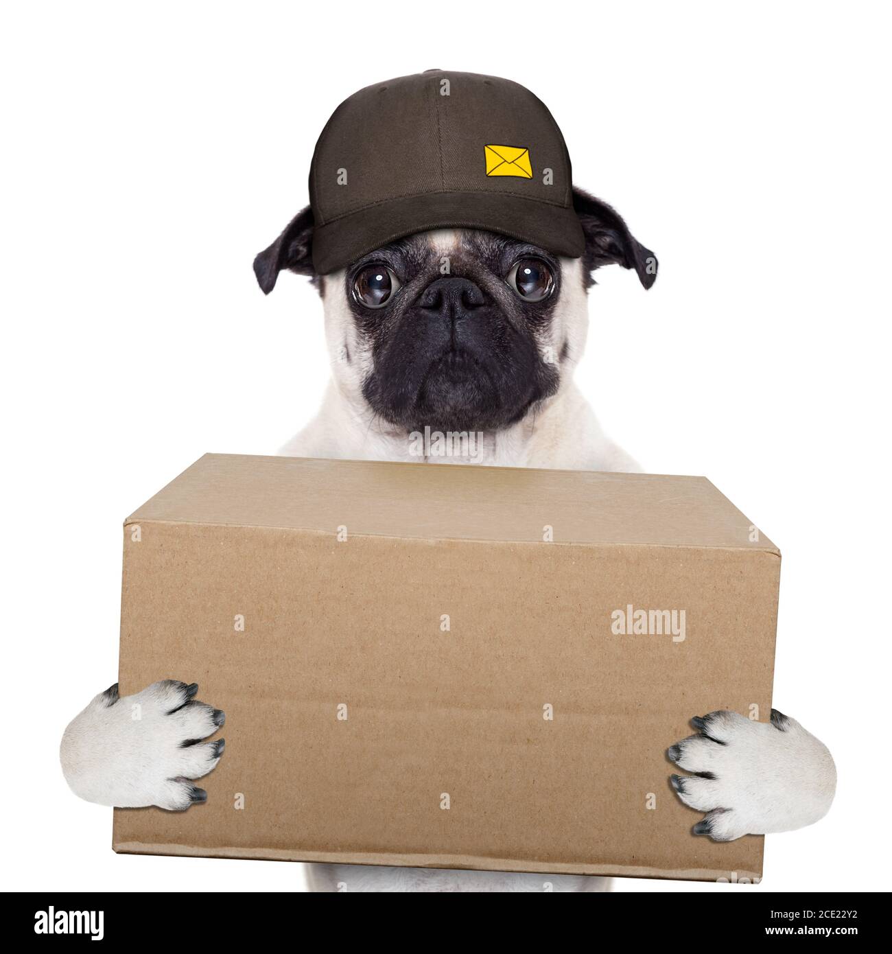 dog delivery post Stock Photo - Alamy