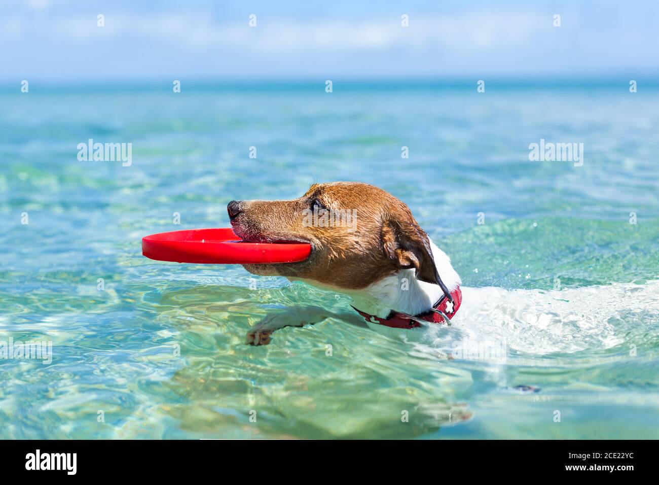 Frisbee exercise beach hi-res stock photography and images - Alamy